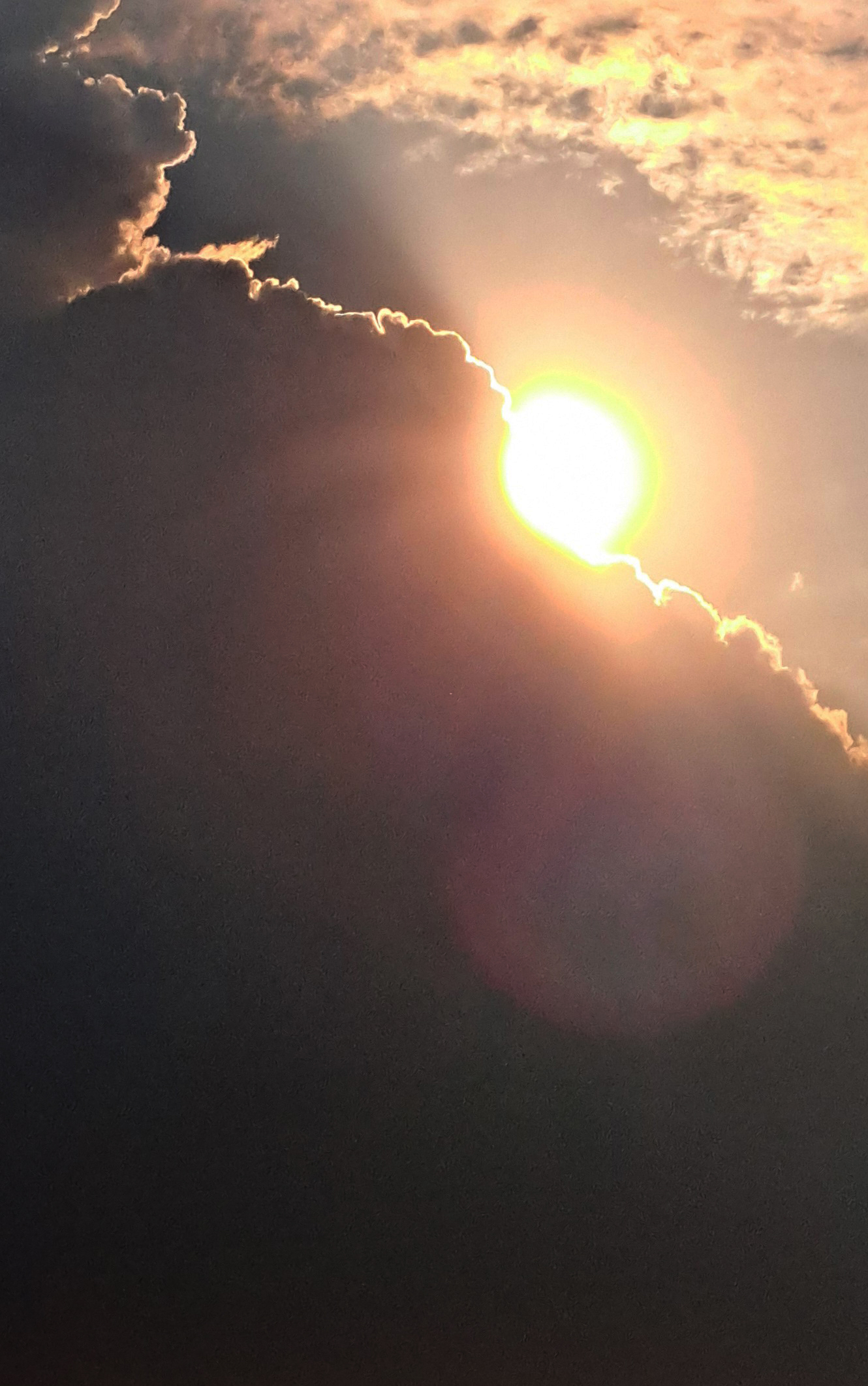 مهدی کردی طراح گرافیک، دیجیتال مارکتر و عکاس | Mahdi kordi